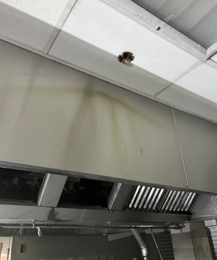 Sprinkler Saves | Primary School Commercial Kitchen Sprinkler ...
